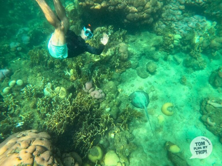 Visiter Le Parc Tayrona: Entrées, Plages et Itinéraires