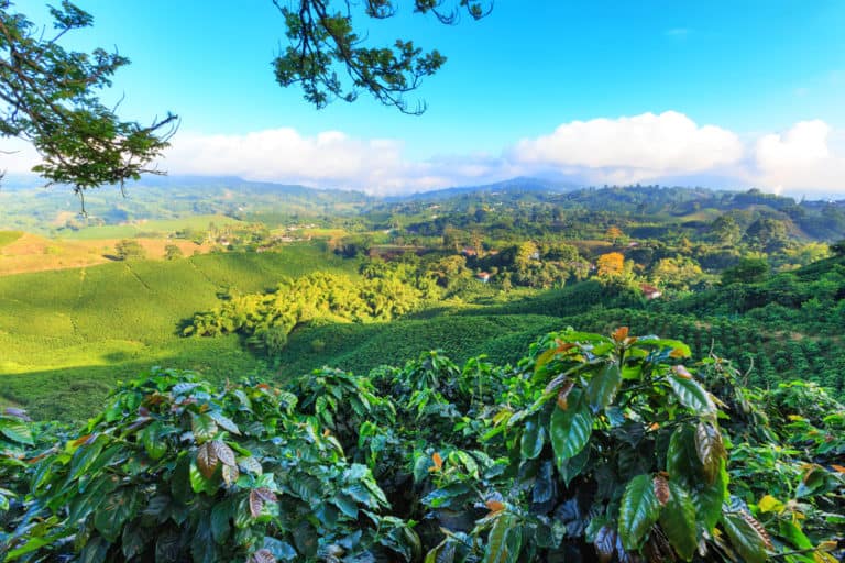Most Famous Colombia Landmarks: Where Are They?