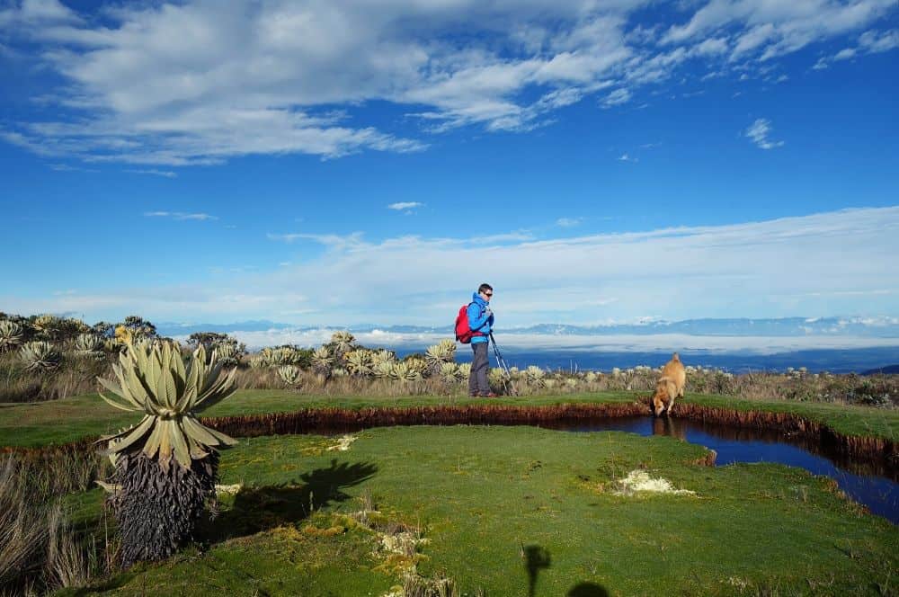 6 Natural Regions of Colombia: Key Characteristics | TPMT