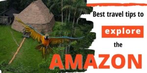 Amazon Travel guide - Tomplanmytrip in Colombia