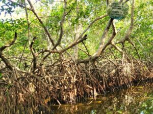 Explore Colombia Caribbean Coast: Travel Guide | TPMT