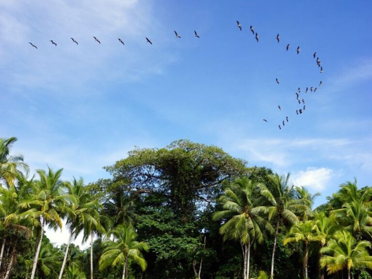 Visit El Chocó, Colombia: Department Travel Guide | TPMT