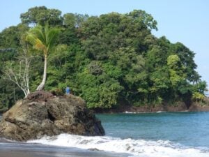 6 Natural Regions of Colombia: Key Characteristics | TPMT