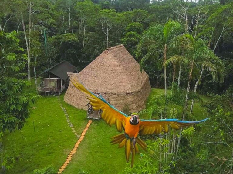 6 Natural Regions of Colombia: Key Characteristics | TPMT