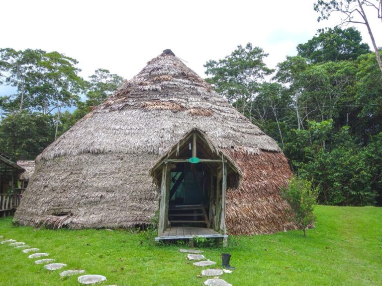 Best Amazon Eco-lodges: Colombia Jungle Resort Guide 2024