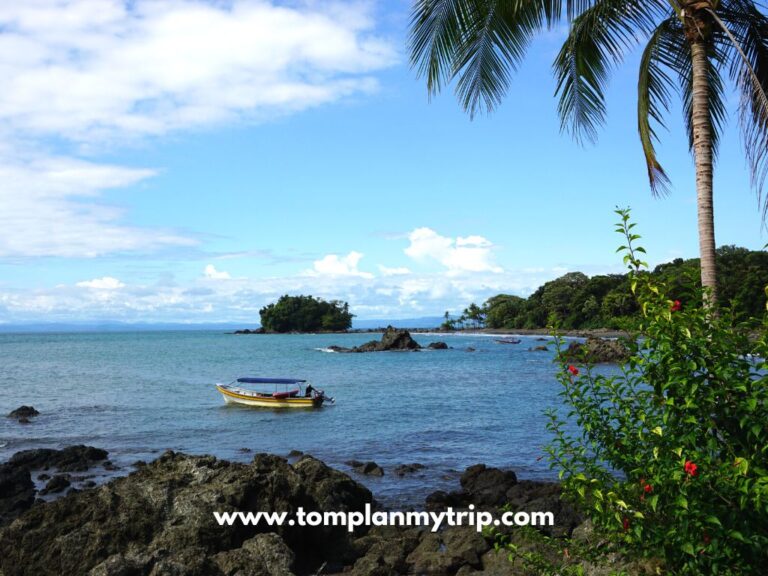 6 Natural Regions of Colombia: Key Characteristics | TPMT