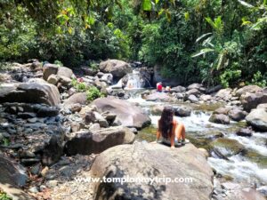 6 Natural Regions of Colombia: Key Characteristics | TPMT