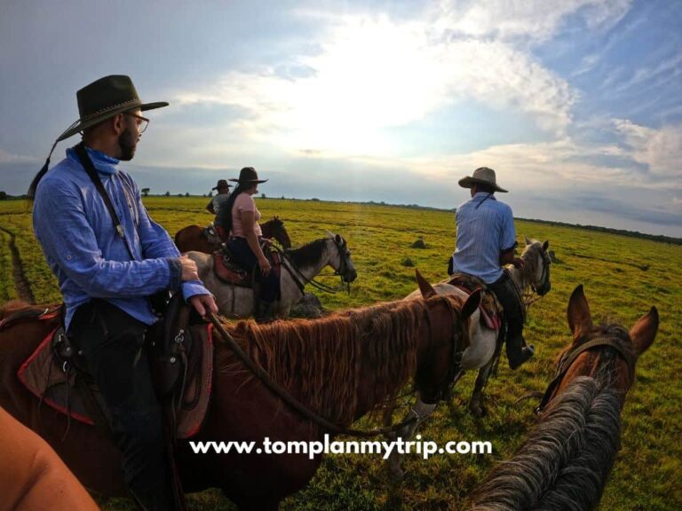Best Safari in Colombia: 2 Adventures For Wildlife Watching