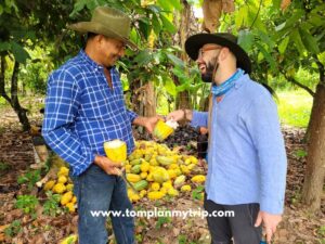 Colombian Slang: A Guide To Understanding The Locals