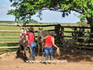 6 Natural Regions of Colombia: Key Characteristics | TPMT
