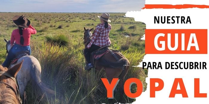 Cómo visitar Yopal, Colombia: Nuestra Guía de Viaje Definitiva