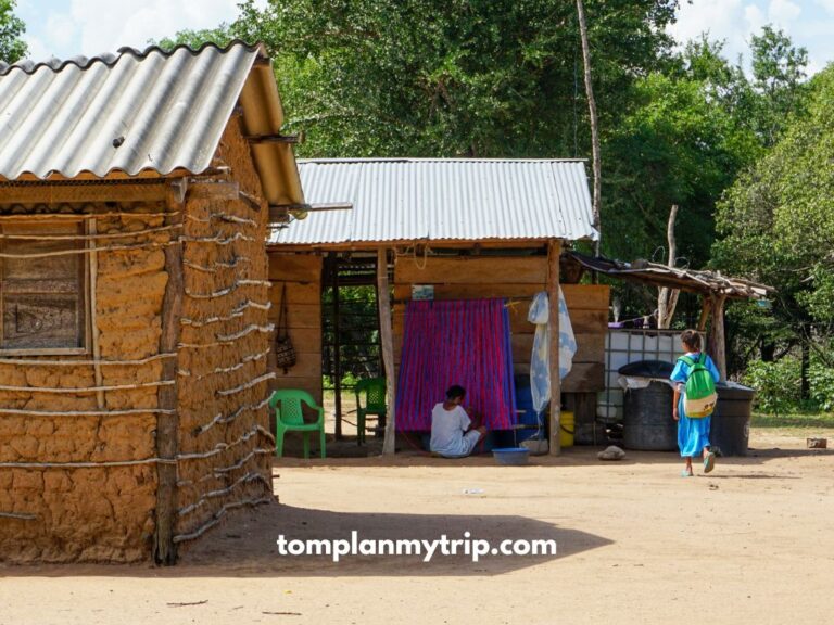 Wayuu People: An Overview Through Dream-Weaved Masterpieces