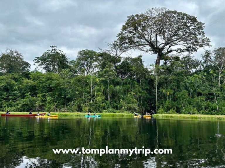 Best Amazon Eco-lodges: Colombia Jungle Resort Guide 2024