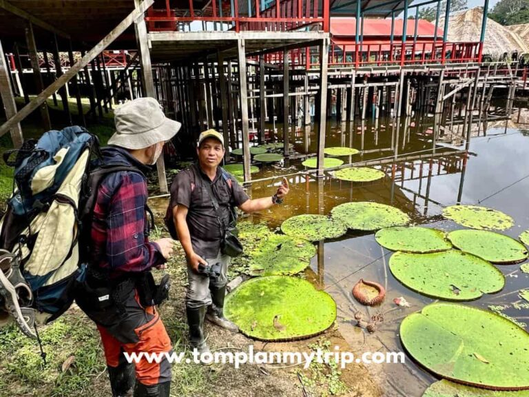 Best Amazon Eco-lodges: Colombia Jungle Resort Guide 2024