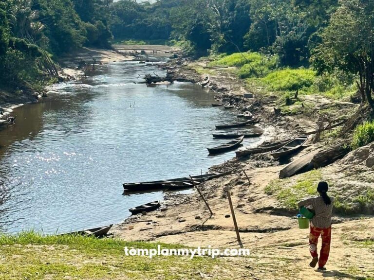 Best Amazon Eco-lodges: Colombia Jungle Resort Guide 2024