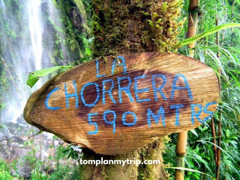 Cascada La Chorrera: Guide to Colombia’s Tallest Waterfall
