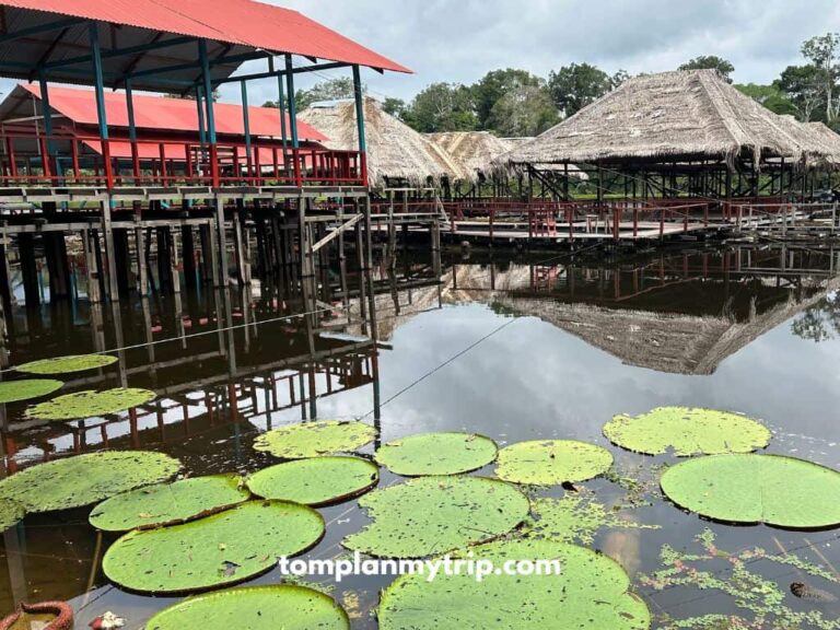 Best Amazon Eco-lodges: Colombia Jungle Resort Guide 2024