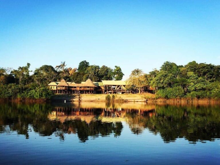 Best Amazon Eco-lodges: Colombia Jungle Resort Guide 2024