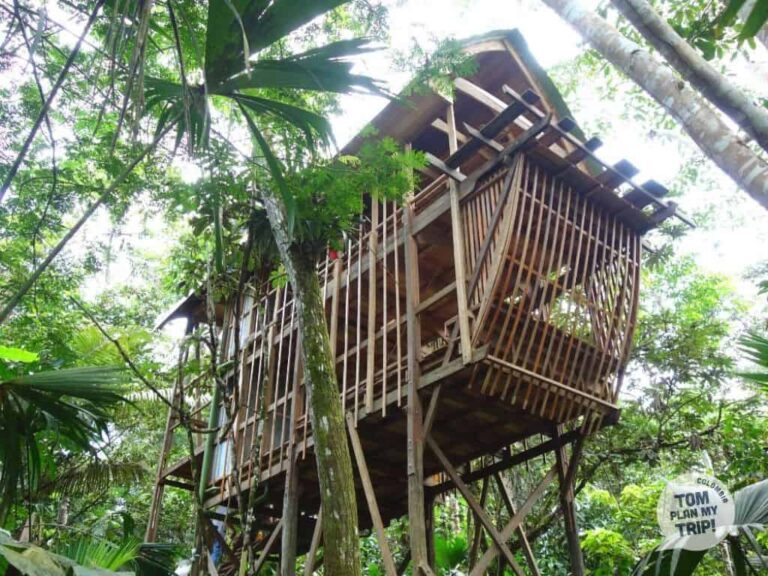 Best Amazon Eco-lodges: Colombia Jungle Resort Guide 2024