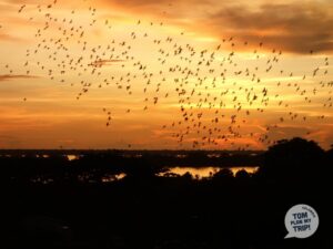 Visit Leticia, Colombia: Expert Travel Guide | TPMT