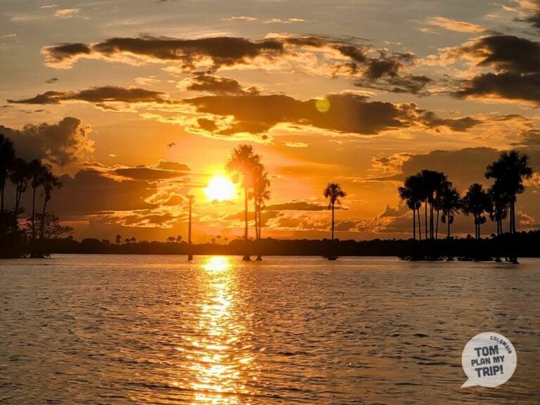 Visit Yopal, Colombia: Expert Travel Guide | TPMT