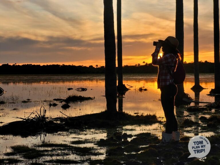 Animals of Colombia: Top 18 Must-See Wildlife Encounters