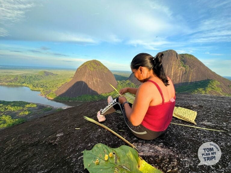 Visitar Los Cerros De Mavecure en Colombia: Guía de Viaje