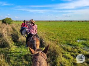 Visit Yopal, Colombia: Expert Travel Guide | TPMT