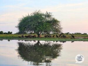 Visit Yopal, Colombia: Expert Travel Guide | TPMT