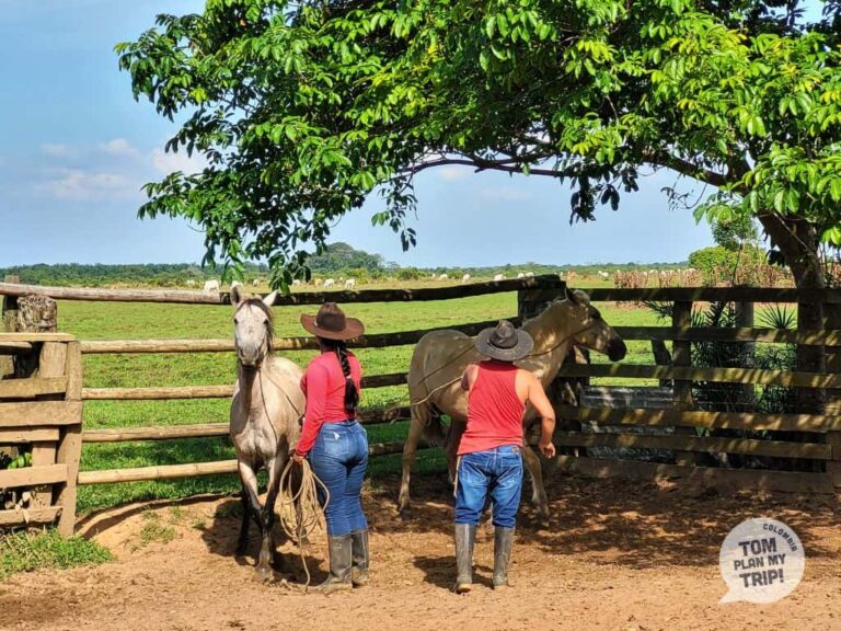 Discover The Llanos Orientales of Colombia with TPMT