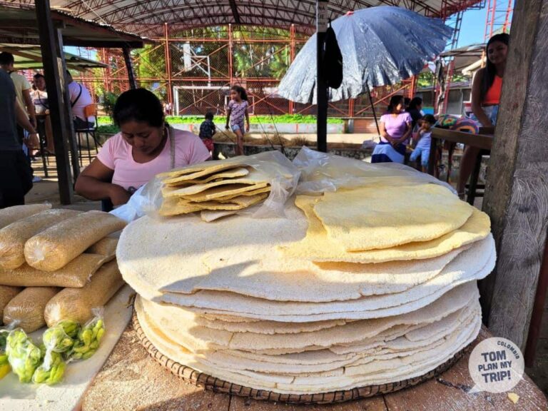 Visiter Les Cerros De Mavecure en Colombia: Guide Voyage
