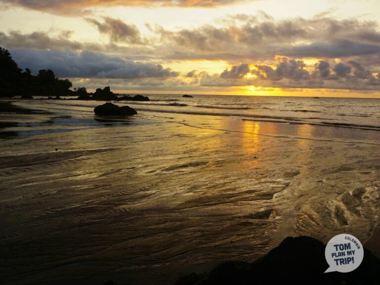 How To Book The Best Ecolodges Near Nuqui & Guachalito