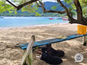 Visit Capurgana & Sapzurro, Colombia: Travel Guide TPMT